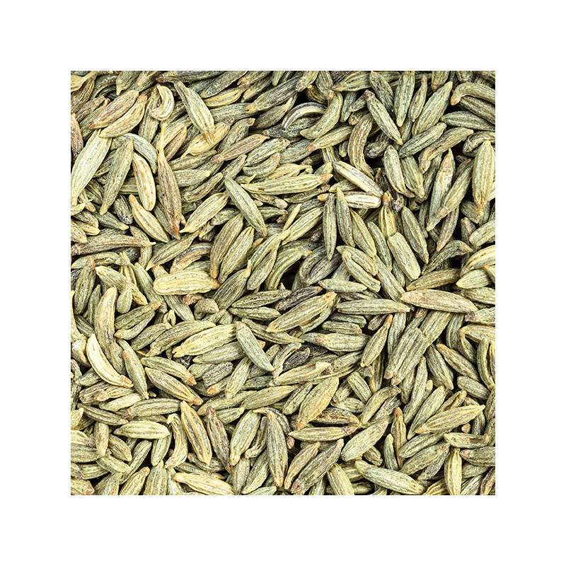 Anis vert BIO - fruit entier